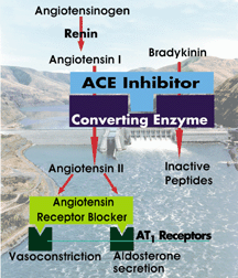Therapeutics Initiative | [28] Angiotensin II Receptor Blockers – Their ...